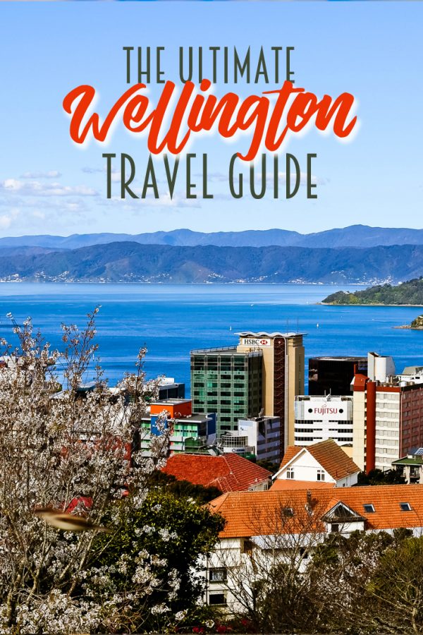 The Ultimate Guide to Wellington, New Zealand | Nicole the Nomad