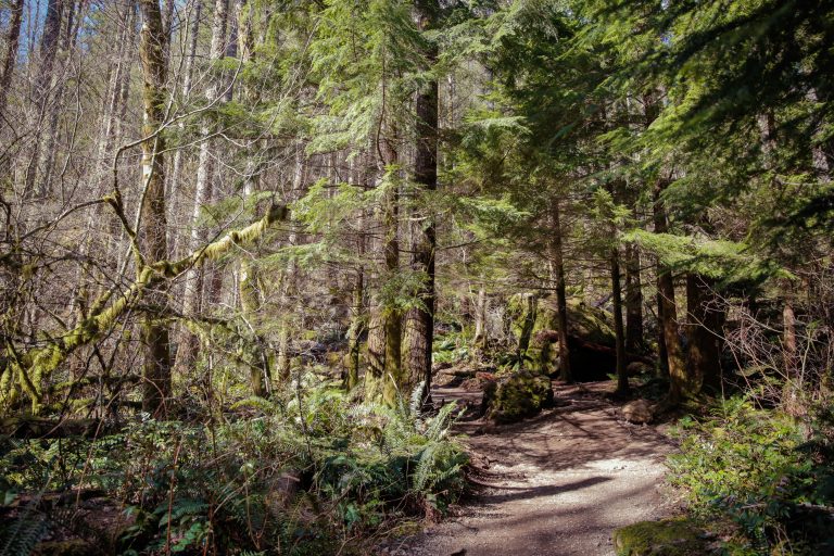Climbing Rattlesnake Ridge | Nicole the Nomad