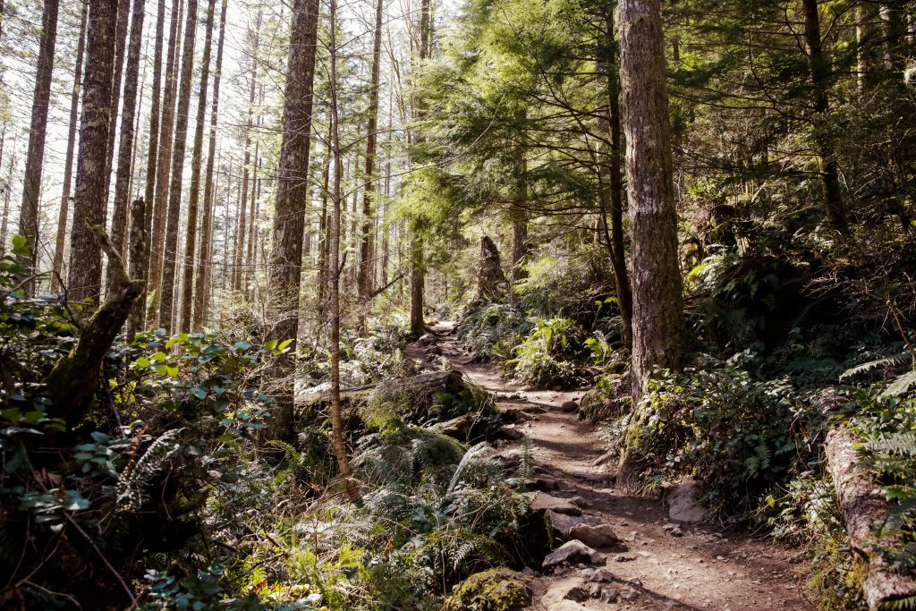 Climbing Rattlesnake Ridge | Nicole the Nomad