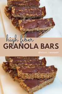 High Fiber Granola Bars | Nicole the Nomad